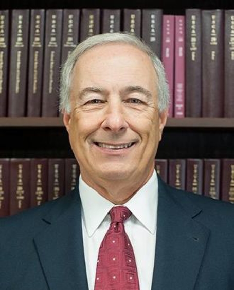 Our Attorneys | Palmisano & Goodman, P.A.